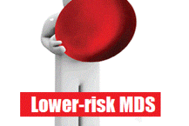 What is MDS? Meaning, Symptoms, Treatment & Prognosis - MDS UK Patient ...